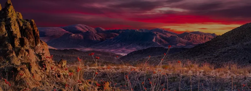 Home Security Systems & Providers in Texas | Home Security